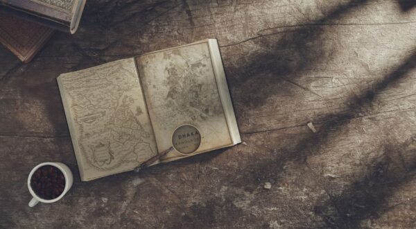 Wood-burning stoves: a fundamental element in history and culture ...